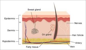 About Skin - Skinfluence Clinic